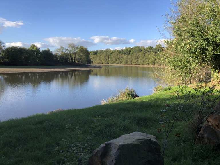 Le long du lac de Haute Mayenne - boucle depuis Ambrières-les-Vallées ...