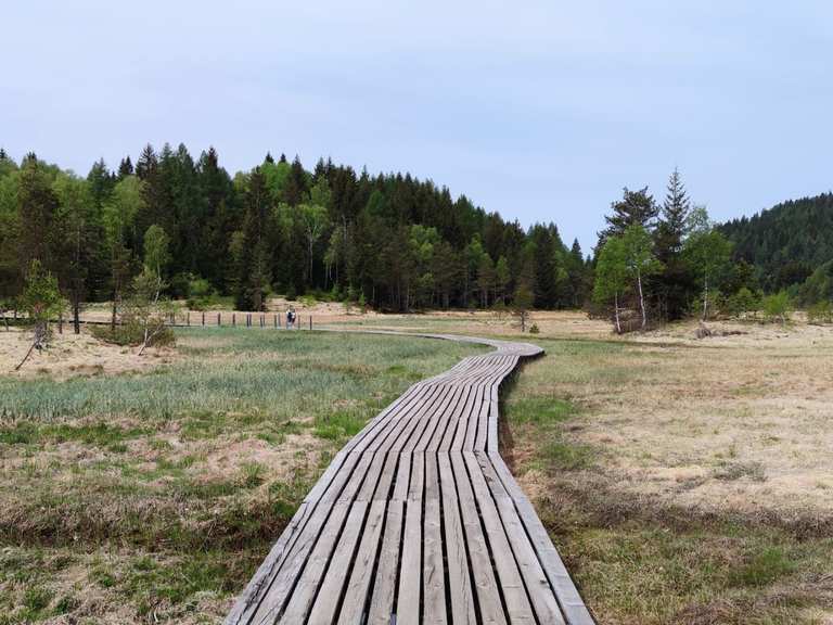 Sentiero Valentina – loop from Aprica | hike | Komoot