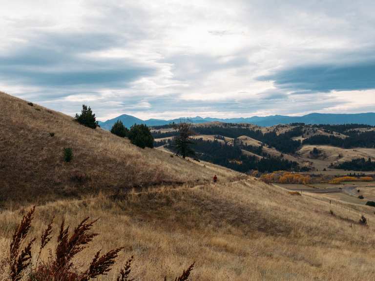 Bridger Ridge a partir do M Trailhead – Custer Gallatin National Forest ...