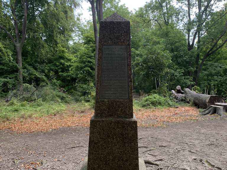 Sharpenhoe Clappers Forest – Tree tunnel loop from Streatley | hike ...