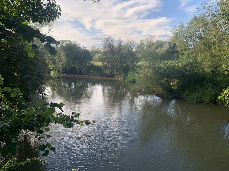 Bletchingdon Park from Bicester – River Cherwell wild swimming loop ...