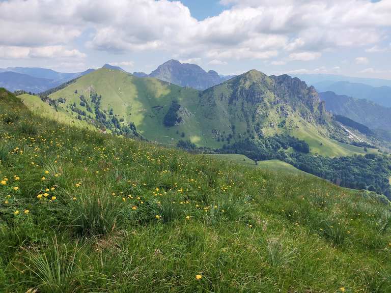 Monte Ario : percorsi escursionistici e trekking | Komoot