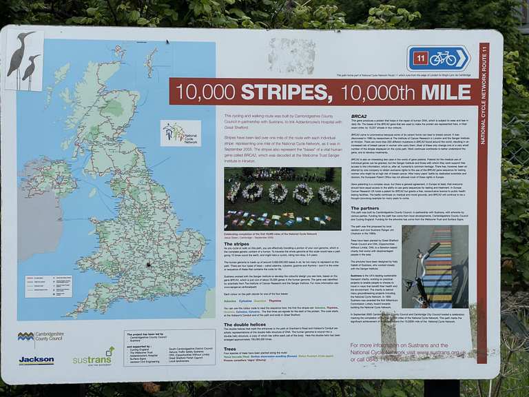 DNA Cycleway to Shelford Cycle Routes and Map | Komoot