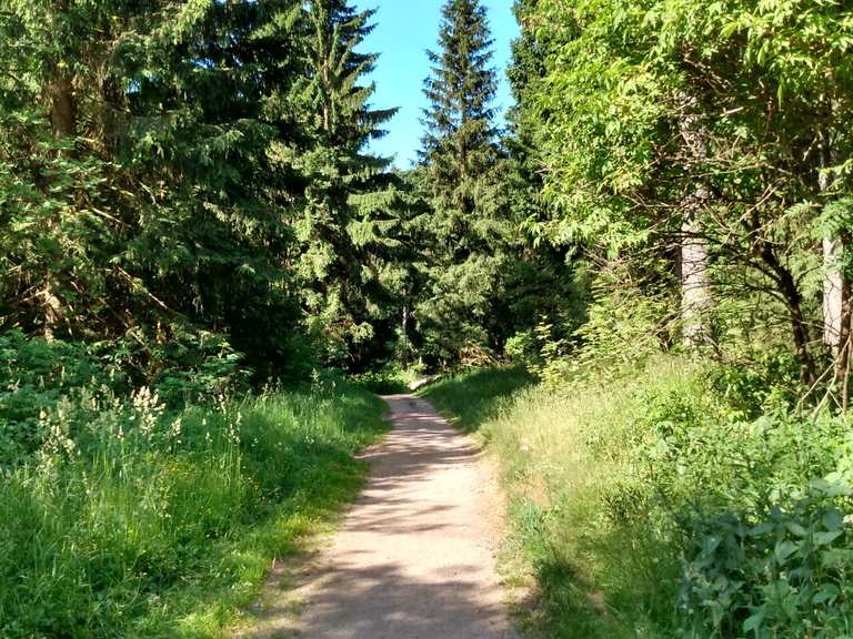 Rhön-Rennsteig-Wanderweg: Wanderungen und Rundwege | komoot
