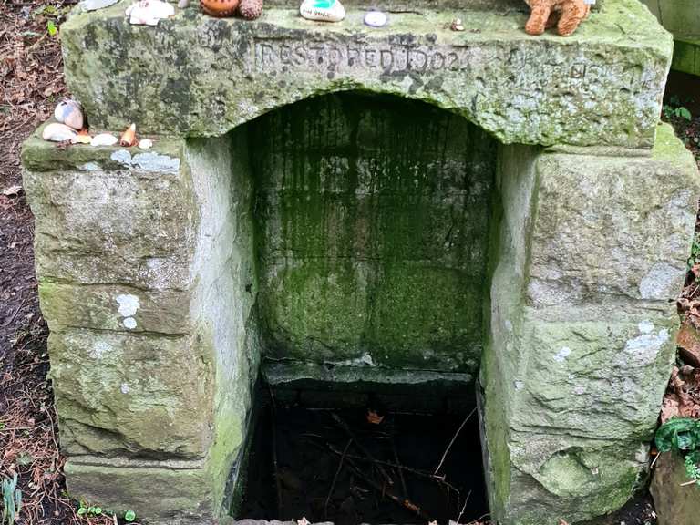 The Lady Well bei Speen: Wanderungen und Rundwege | komoot