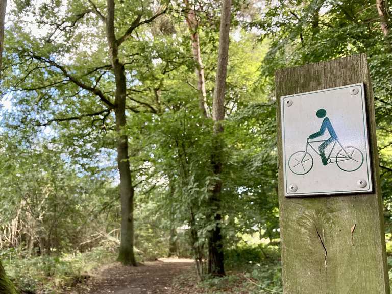 Door het Kloosterbos: Radtouren und Radwege | komoot