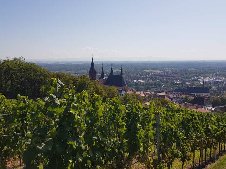 Blick über Oppenheim - Cycle Routes and Map | Komoot