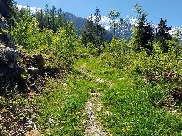 Boucle Glacier des Bossons – Au pied du glacier des Bossons au départ ...