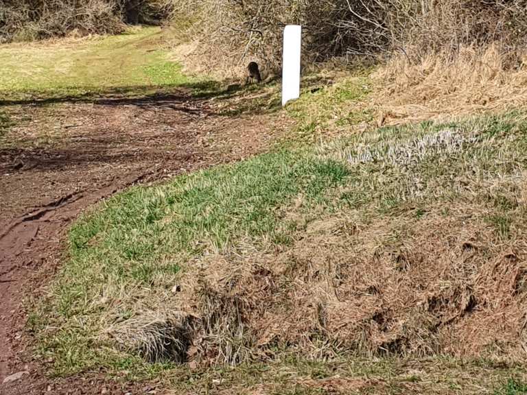 Mausefallenmuseum, Neroth Routes for Walking and Hiking | Komoot