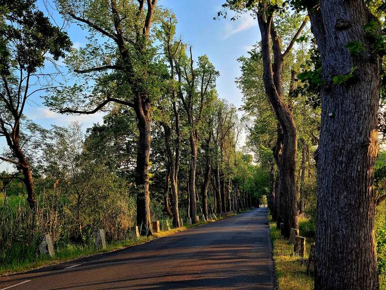 Düstere Moore - schöne Landschaft : Radtouren und Radwege | komoot