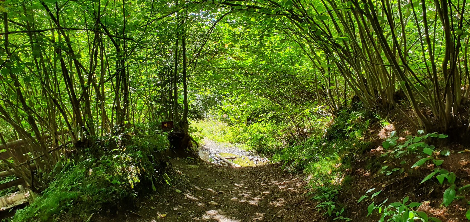 Einzigartig abgeschieden – Fernwandern auf dem Juliana Trail | Wander ...