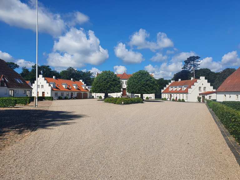 Forest and Lake Loop between Ringe and Espe | hike | Komoot