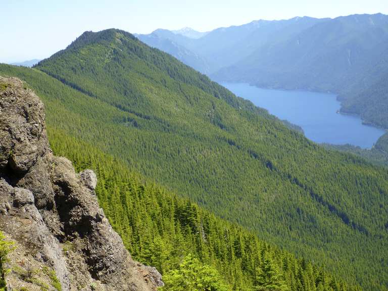 Mt. Muller Trail – Olympic National Park | Mountainbike-Tour | Komoot