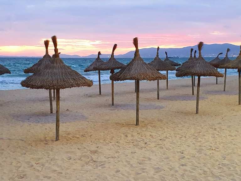 ...am Hilton sa Torre – Molino de viento Algaida Runde von Can Pastilla ...