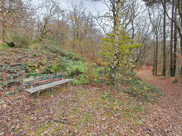 Keltischer Ringwall: Wanderungen und Rundwege | komoot