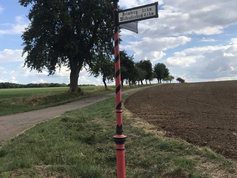 👈👉Historischer Wegweiser (zur Zeit des Württemberg. König) : Radtouren ...