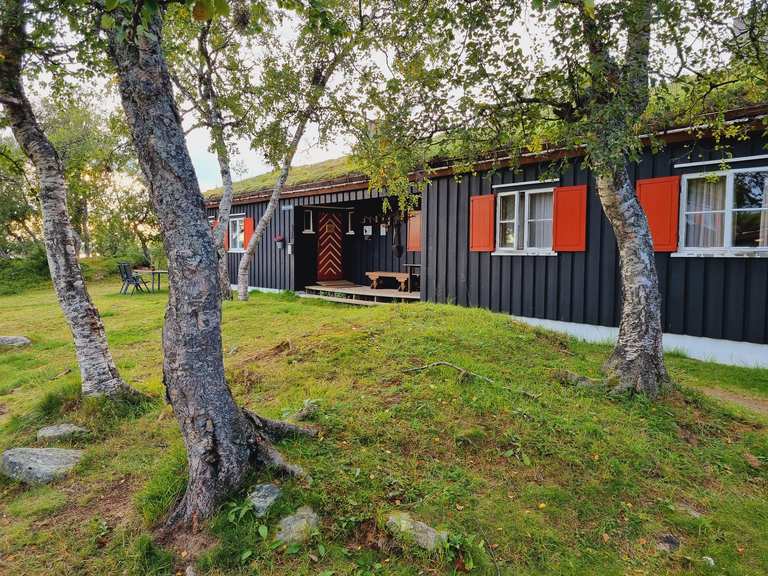 Nedalshytta (DNT) Routes for Walking and Hiking | Komoot