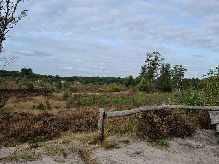 Uitzicht op Treekermeertje – Prachtig heideveld Rondje vanuit Leusden ...