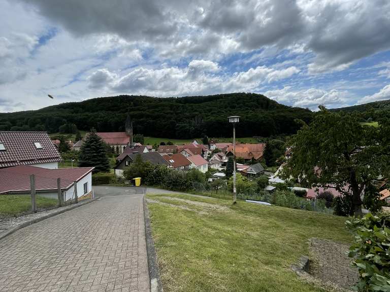 Trail bei Lutter: Mountainbike-Touren | komoot