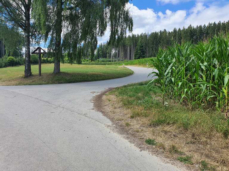 Schöne Auffahrt mit Panoramablick: Radtouren und Radwege | komoot