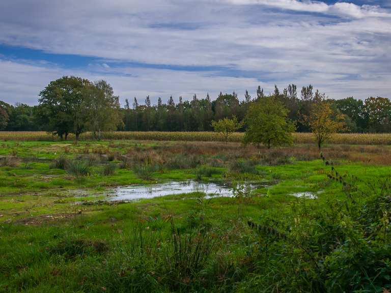 Natuurreservaat Ronde Put: Rutas de senderismo y caminatas | Komoot