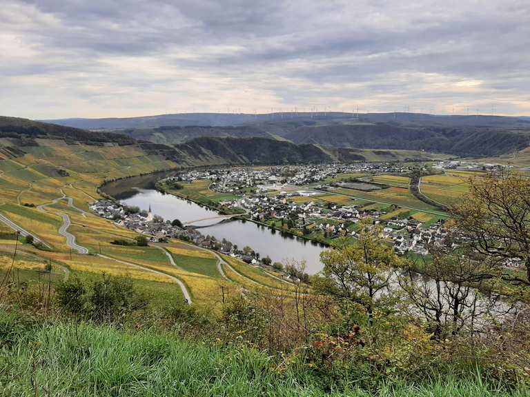 Ausblick Piesport Road Cycle Routes and Map | Komoot