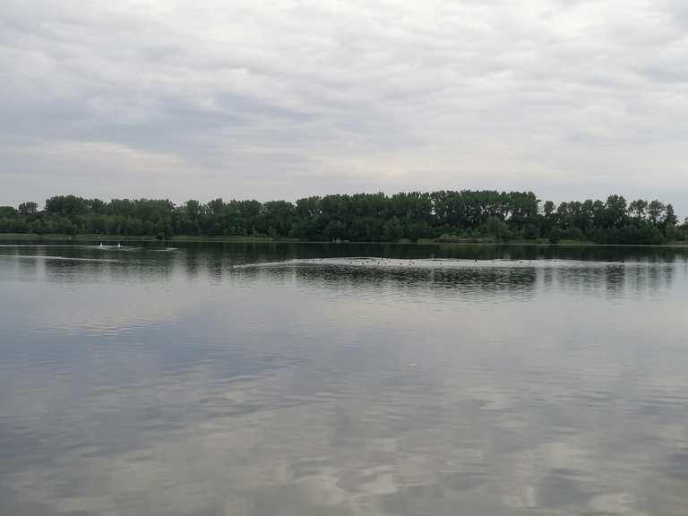 "Put van Rauw" (Mol) wandelroutes en hikes | Komoot