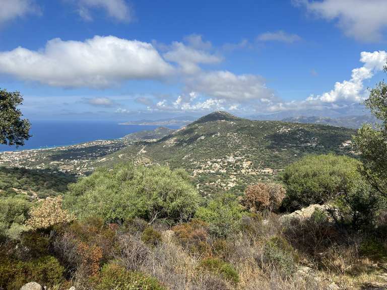 Occiglioni Santa-Reparata-di-Balagna - Santa-Reparata-Di-Balagna, Calvi ...