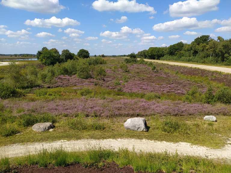 Natuurpark Bargerveen fietsroutes en kaart | Komoot