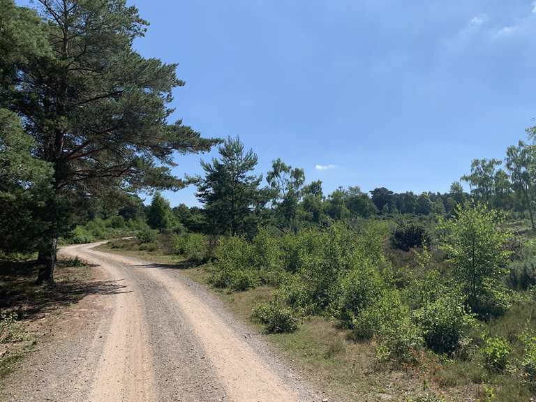 Longmoor Ranges: Mountainbike-Touren und -Trails | komoot