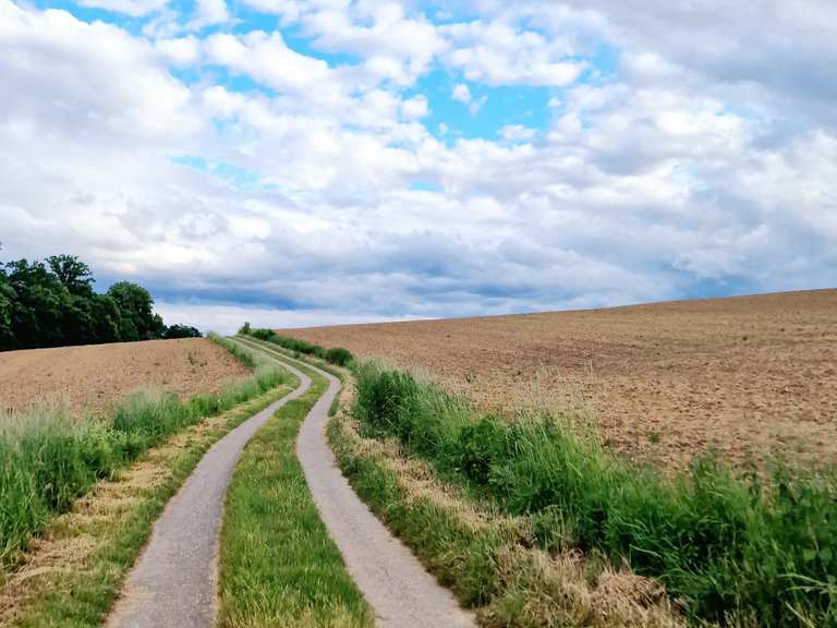 Durlach // Thomashof (car-free ascent) - Road Cycle Routes and Map | Komoot