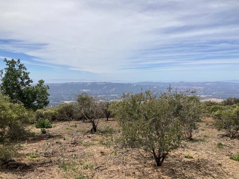 Mount Diablo via Mitchell Canyon & Meridian Ridge Road loop — Mount ...
