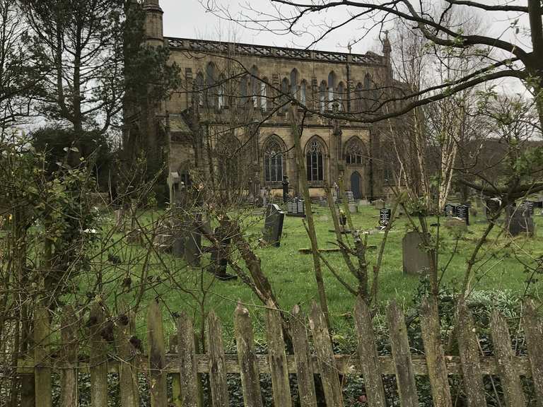 Billinge Woods trails and Witton Country Park loop | mountain bike ride ...