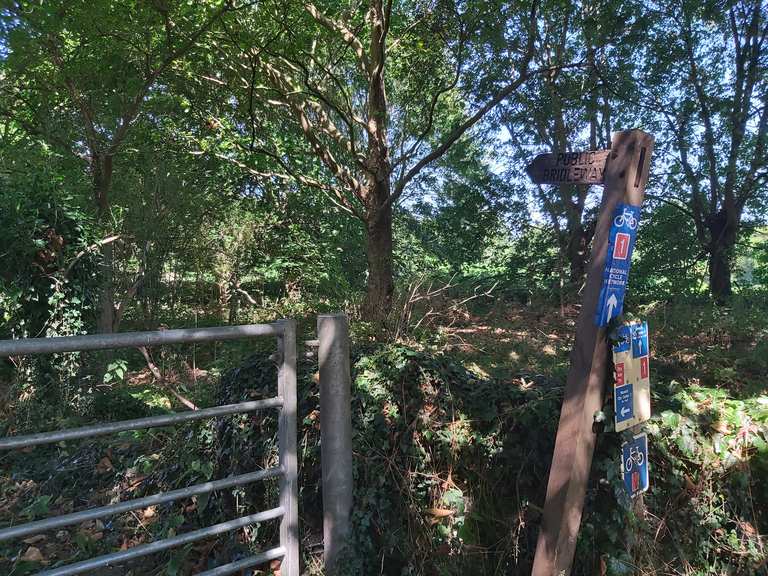 Off road Segment: Radtouren und Radwege | komoot