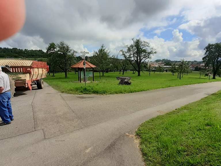 Streuobstpfad Walddorf : Radtouren und Radwege | komoot