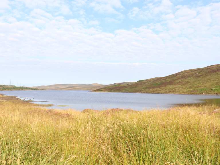 Loch Buidhe loop from Tain – Loch Fleet National Nature Reserve | bike ...