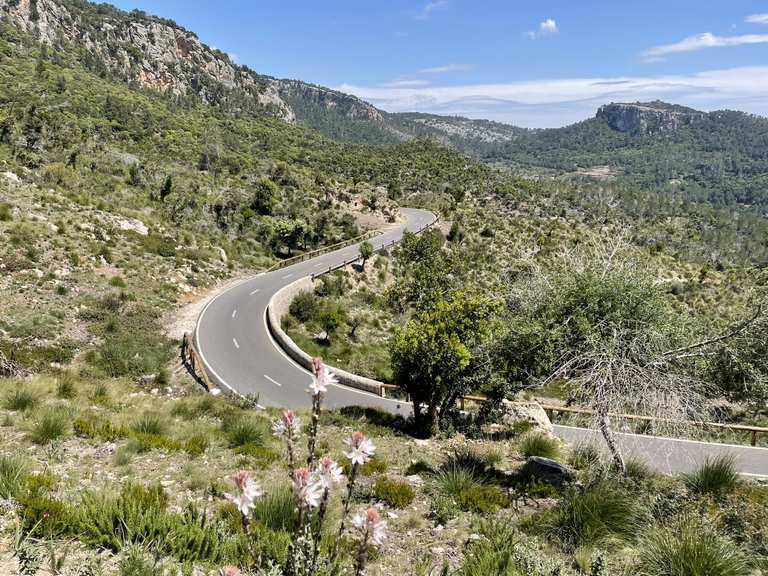 Coll d'en Claret, Valdemossa et Coll de Sóller — circuit dans la Sierra ...