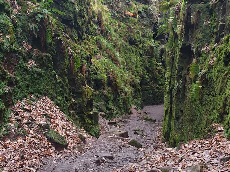 The Roaches to Lud's Church — Peak District National Park | hike | Komoot