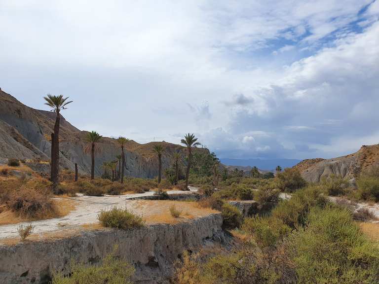 Barranco del Cautivo, Oasis y Rambla de Tabernas – circular por el ...