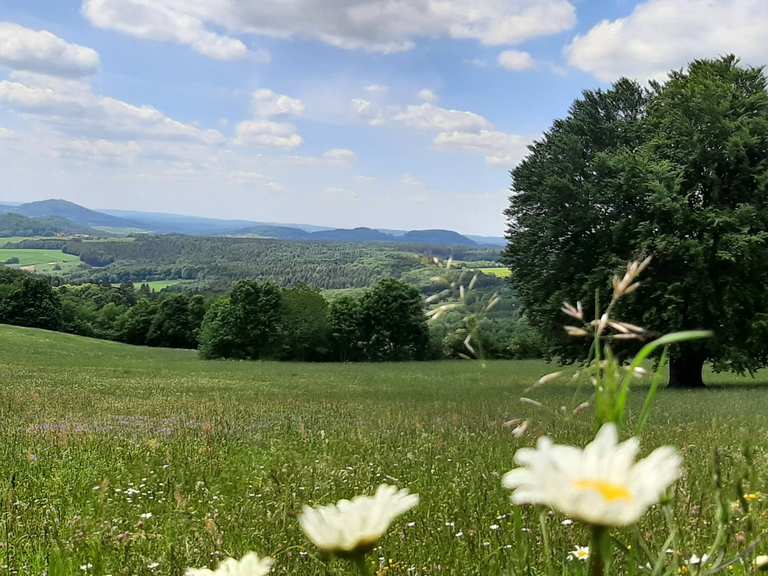 Fenster zur Welt – Toller Blick in die Rhön Runde von Geroda ...