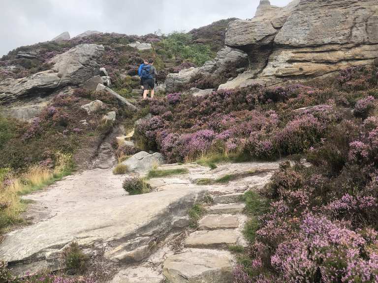 Simonside loop near Thropton — Northumberland National Park | hike | Komoot