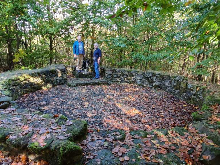 Höfe Dreihausen archäologisches Denkmal 8.9.Jahrh.: Wanderungen und ...