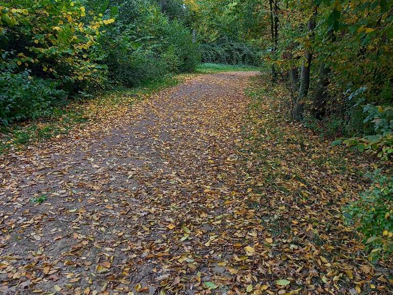 Max Clemens Kanal : Radtouren und Radwege | komoot