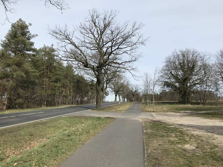 Radweg zwischen Wietstock und Groß Schulzendorf: Radtouren und Radwege ...