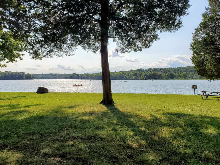 Lakeside Trail loop — Gifford Pinchot State Park | hike | Komoot