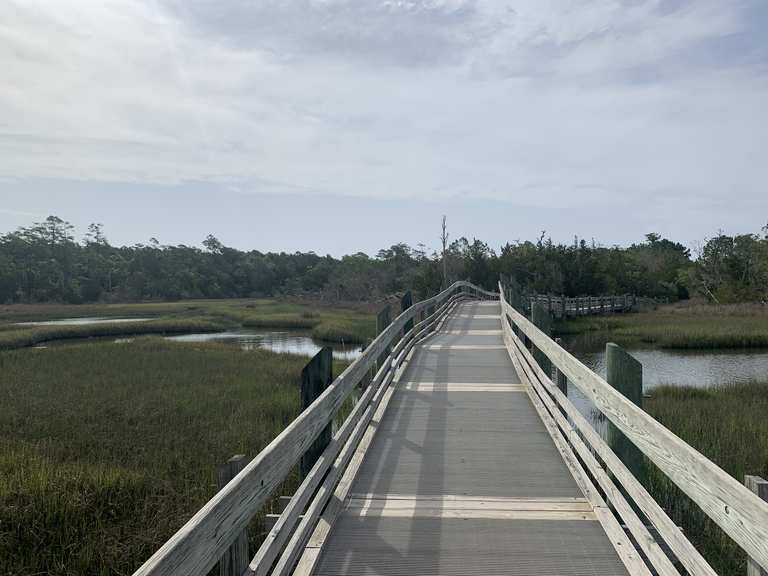 Cedar Point Tideland Trail Routes for Walking and Hiking | Komoot
