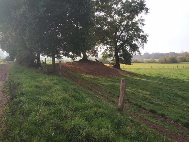 Heuvel op de Sandweg, Naturpark Wildeshauser Geest: MTB-routes en ...