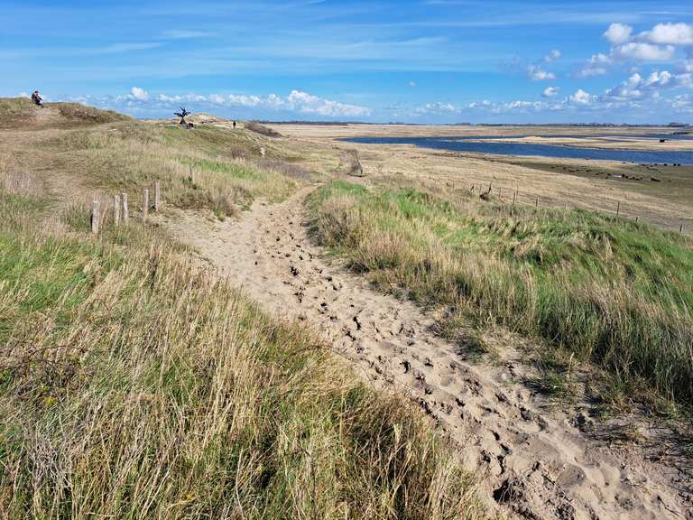 Panorama view het Zwin wandelroutes en hikes | Komoot