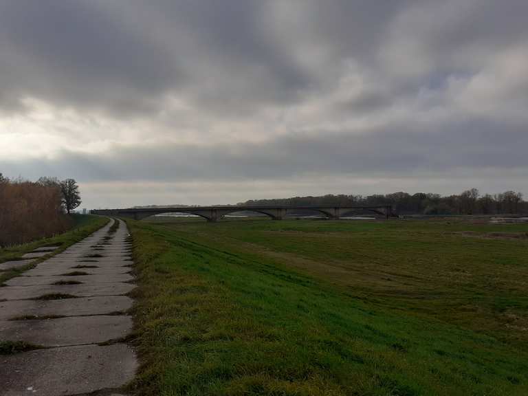 Brückenreste über die Oder bei Klopot : Radtouren und Radwege | komoot
