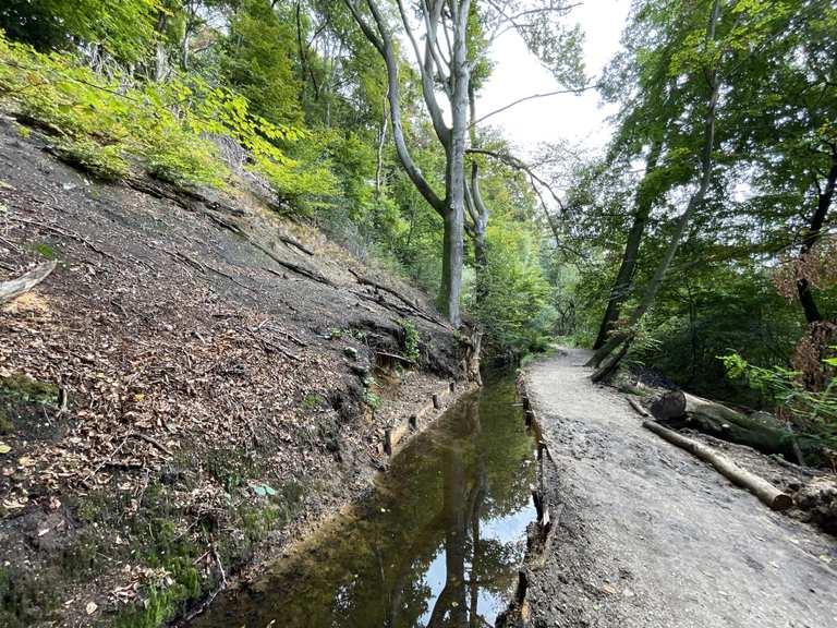 Waterplas op de St. Jansberg – Klein meertje in het bos Itinerario ad ...